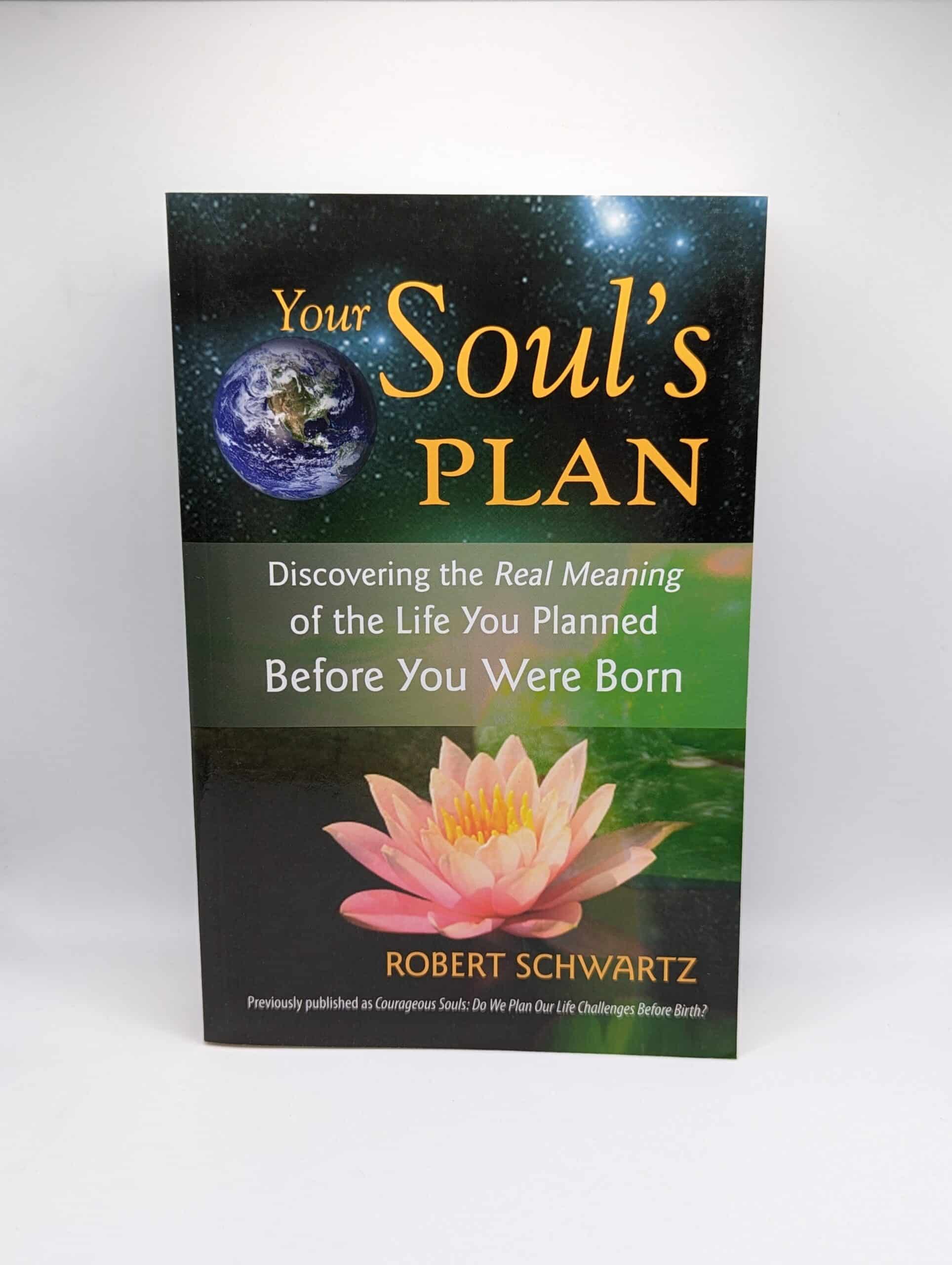"Your Soul's Plan: Discovering the Real Meaning of the Life You Planned ...